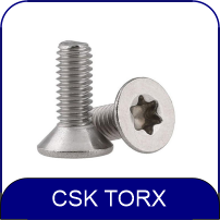 SS MACHINE SCREW - Fastenic Group India